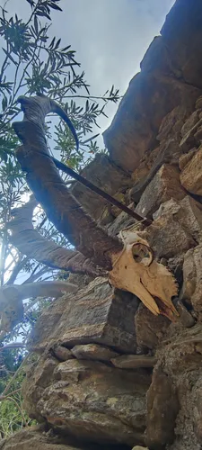 2023 Best Forest Trails in Lakki | AllTrails