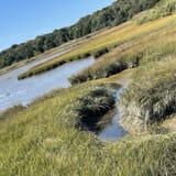 Nauset Marsh and Nauset Bike Trail , Massachusetts - 840 Reviews, Map ...