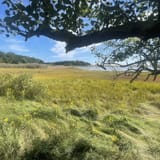 Nauset Marsh and Nauset Bike Trail , Massachusetts - 840 Reviews, Map ...