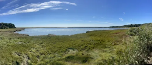 10 Best Hikes and Trails in Cape Cod National Seashore | AllTrails