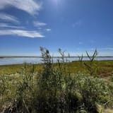 Nauset Marsh and Nauset Bike Trail , Massachusetts - 868 Reviews, Map ...
