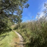 Nauset Marsh and Nauset Bike Trail , Massachusetts - 868 Reviews, Map ...