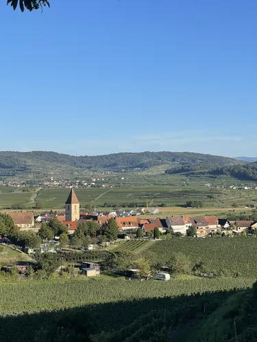 Best Hikes and Trails in Sasbach am Kaiserstuhl | AllTrails