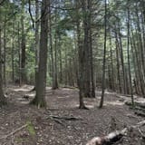 Haystack Mountain Trail, Maine - 292 Reviews, Map | AllTrails