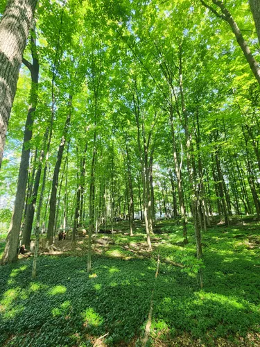 Best Hikes and Trails in Cap-Saint-Jacques Nature Park | AllTrails