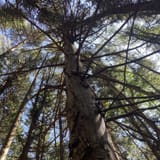 Sprague Brook Park Trail, New York - 1,254 Reviews, Map | AllTrails