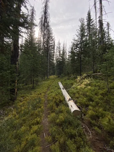Best Hard Trails in Mountain Lakes Wilderness | AllTrails