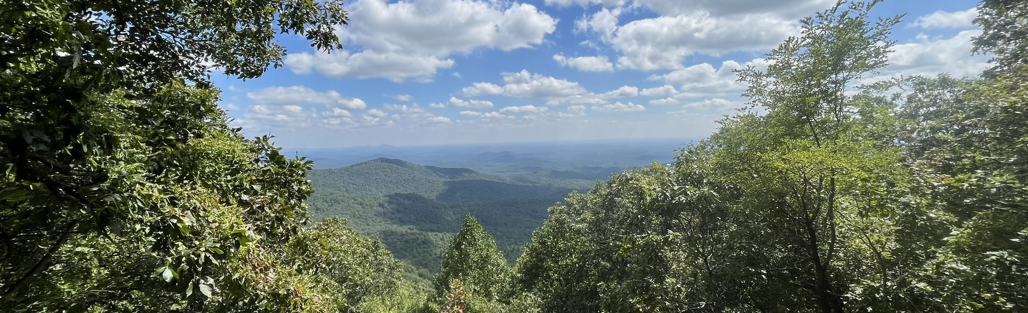 Benton MacKaye, Owen's Overlook, and Appalachian Trail Loop, Georgia - 746 Reviews, Map | AllTrails