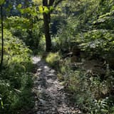 Difficult Run Trail, Virginia - 711 Reviews, Map | AllTrails