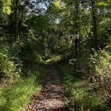 Difficult Run Trail, Virginia - 711 Reviews, Map | AllTrails