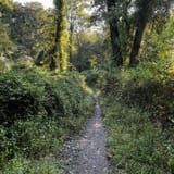 Difficult Run Trail, Virginia - 711 Reviews, Map | AllTrails