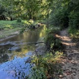 Difficult Run Trail, Virginia - 711 Reviews, Map | AllTrails