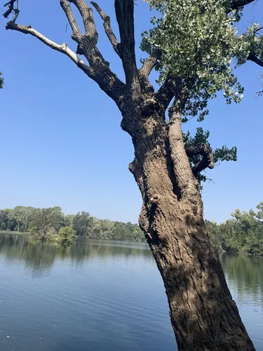 Lodi Lake Park: de beste routes om te wandelen | AllTrails