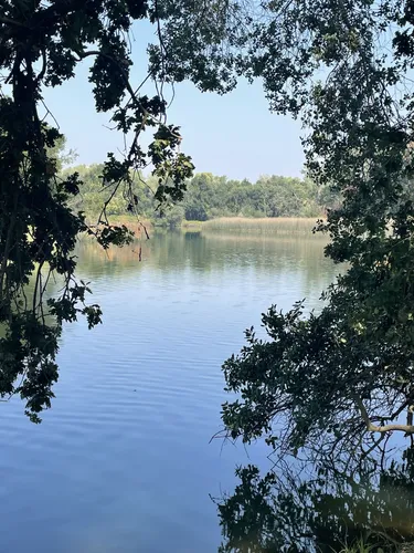 Lodi Lake Park: de beste routes om te wandelen | AllTrails