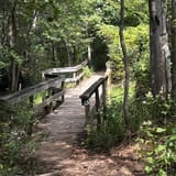 Difficult Run Trail, Virginia - 694 Reviews, Map | AllTrails