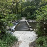 Difficult Run Trail, Virginia - 728 Reviews, Map | AllTrails