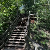 Difficult Run Trail, Virginia - 694 Reviews, Map | AllTrails