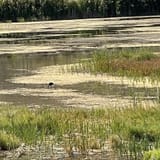 Black Rock Walk, Utah - 44 Reviews, Map | AllTrails