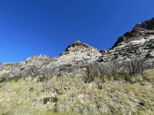 Best Hikes and Trails in Ruby Mountains Wilderness | AllTrails