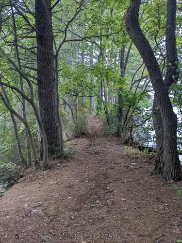 Best Hikes and Trails in Bowman Conservation Area | AllTrails