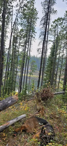 Monkman Provincial Park: de beste routes om te wandelen | AllTrails