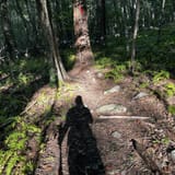 Mooween State Park Loop , Connecticut - 387 Reviews, Map | AllTrails