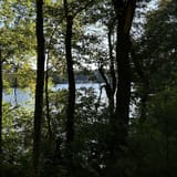 Mooween State Park Loop , Connecticut - 387 Reviews, Map | AllTrails