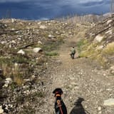 Colorado River and River Run Trail, Colorado - 518 Reviews, Map | AllTrails