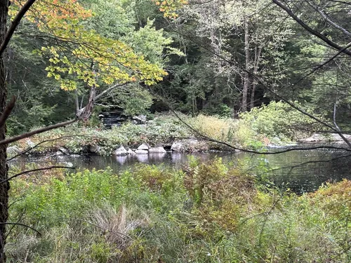 Best Hikes and Trails in West Branch Preserve | AllTrails