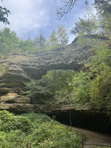Natural Bridge State Park: de beste routes om te wandelen | AllTrails