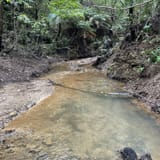 Riverhead Forest Loop Track, Auckland, New Zealand - 65 Reviews, Map ...