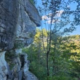 Indian Ladder Trail, New York - 819 Reviews, Map | AllTrails