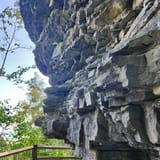 Indian Ladder Trail, New York - 819 Reviews, Map | AllTrails