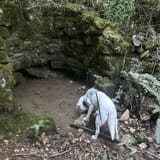 Lost Spring Trail, Tennessee - 80 Reviews, Map | AllTrails