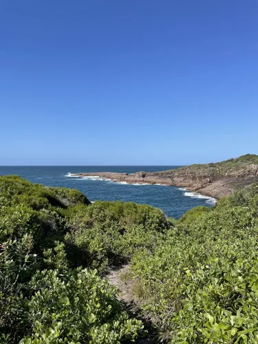 10 Best Hikes and Trails in Tomaree National Park | AllTrails