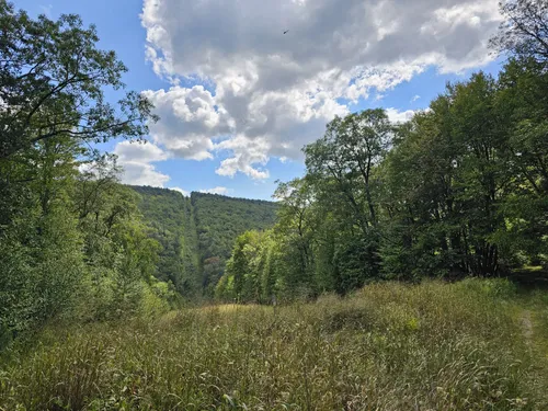 Best Hikes and Trails in Bear Meadows Natural Area | AllTrails
