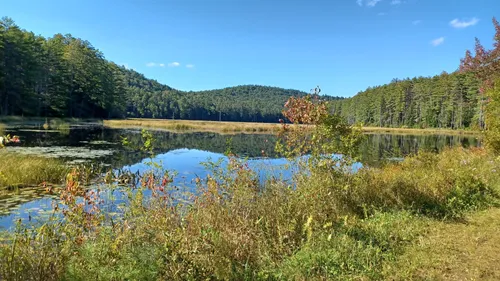 Best Hikes and Trails in Pack Demonstration Forest | AllTrails