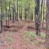 Bartram Trail: West Dam Recreation Area to Washington Road, South ...