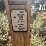 West Metolius River Trail, Oregon - 711 Reviews, Map | AllTrails