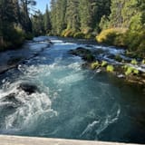 West Metolius River Trail, Oregon - 683 Reviews, Map | AllTrails