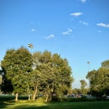 Poor Farm Park Trails, Virginia - 536 Reviews, Map | AllTrails