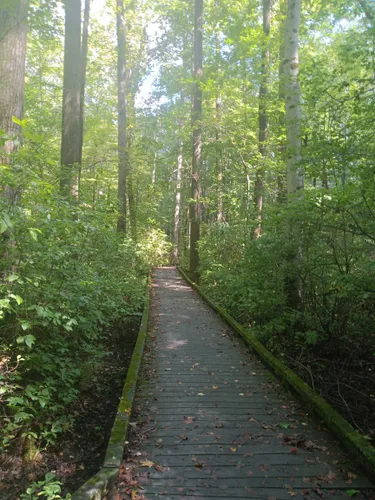 Best Hikes and Trails in Great Swamp National Wildlife Refuge | AllTrails