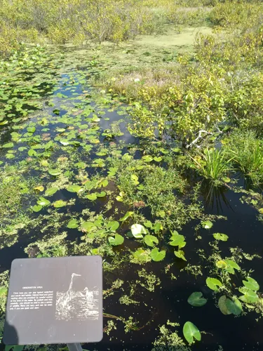 Best Hikes and Trails in Great Swamp National Wildlife Refuge | AllTrails