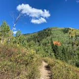 Desolation Lake via Mill D North Fork and Desolation Trail, Utah ...