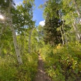 Desolation Lake via Mill D North Fork and Desolation Trail, Utah ...