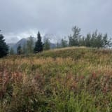 Bodenburg Butte via West Butte Trail, Alaska - 1,253 Reviews, Map ...