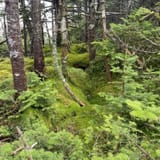 Mount Jim and Mount Waternomee Ridge Trail, New Hampshire - 102 Reviews ...