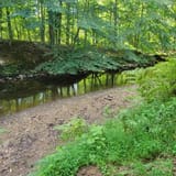 Ferncliff Trail, Pennsylvania - 1,270 Reviews, Map | AllTrails