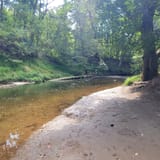 Ferncliff Trail, Pennsylvania - 1,270 Reviews, Map | AllTrails