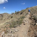 Mount Judah Loop Trail, California - 2,317 Reviews, Map | AllTrails